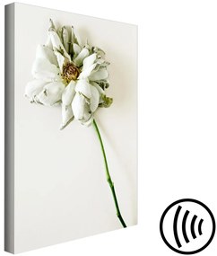 Obraz Vysušená vzpomínka (1-dílný) svislý - květ na bílém pozadí