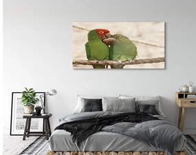 akrylový obraz zelené papoušci 140x70 cm
