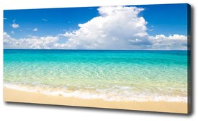 Wallmuralia Foto obraz na plátně Rajská pláž 100x50