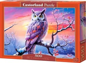 Castorland 54022 Dokonalý večer se sovou / 500 dílků / od 9 let