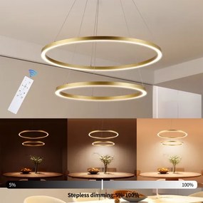 Brilagi - LED Stmívat. lustr na lanku PORTOFINO LED/98W/230V pr. 80 cm zlatá +DO