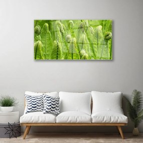 Obraz na skle Rostlina Příroda 100x50 cm