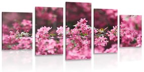 5-dílný obraz detailní květiny třešně Varianta: 100x50