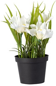 Die moderne Hausfrau Umělá květina Iris bílý