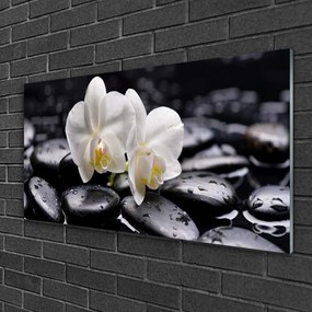 Obraz na skle Kameny Zen Bílá Orchidej 125x50 cm