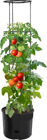 Truhlík na pěstování rajčat antracit Ø 39 x 150 cm polypropylen 152210