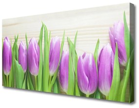 Obraz na plátně Tulipány Květiny Příroda 100x50 cm