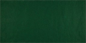 Livarno® Koberec s umělou trávou, 100 x 200 cm