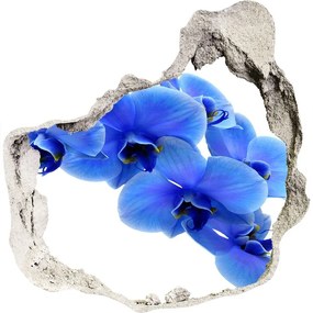 Wallmuralia Samolepící díra nálepka Modrá orchidej 75x75 cm