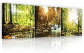 Postershop Obraz na plátně: Lesní potok - set 3ks 25x25cm