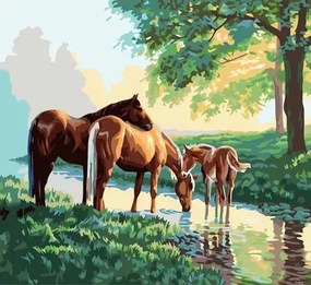 NORIMPEX Malování podle čísel Koňská rodina u potoka / 40x50 cm
