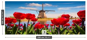 Fototapeta Větrné mlýny v Nizozemsku 104x70