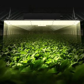 LED pěstební světlo, 200 W plnospektrální stmívatelné