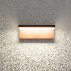 Brilagi - LED Venkovní nástěnné svítidlo TESSI LED/10W/230V hnědá IP54