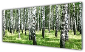 akrylový obraz Les Tráva Rostlina Příroda 125x50 cm