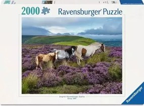 Ravensburger 120017516 Divocí koně 2000 dílků / věk od: 14 let / verze
