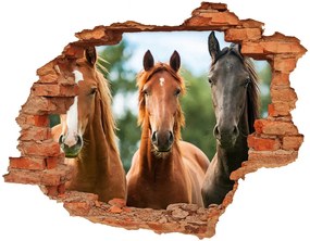 Wallmuralia Díra 3D fototapeta na stěnu Tři koně 90x70 cm