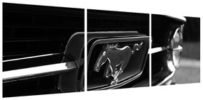 Detailní obraz automobilu značky Mustang  (120x40 cm)
