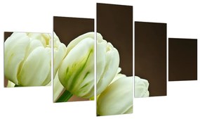 Obraz tulipánů  (125x70 cm)