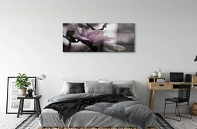 akrylový obraz Magnólie 120x60 cm