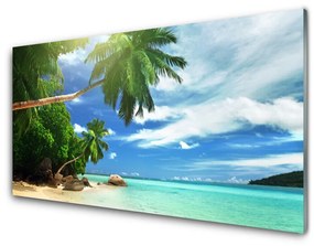 Obraz na skle Palma Pláž Moře Krajina 120x60 cm