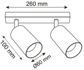 Zuma Line 2211BD-2-BK - Bodové svítidlo REN 2xGU10/50W/230V černá/šedá
