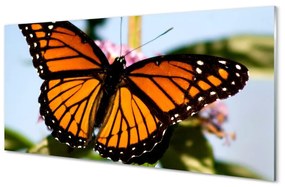 Obraz na skle barevný motýl 140x70 cm