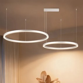 Brilagi - LED Stmívatelný lustr na lanku PORTOFINO LED/98W/230V stříbrná + DO