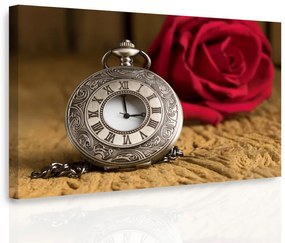 Malvis ® Obraz - Stopky a růže Velikost: 120x80 cm