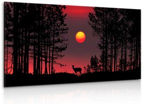 Malvis ® Lesní svoboda Velikost (šířka x výška): 120x60 cm