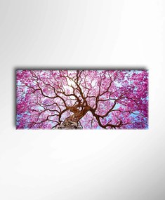 Malvis ® Obraz Rozkvetlý strom s růžovými květy ROZMĚR (šířka x výška): jednodílný obdélník 60x40 cm