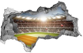 Wallmuralia Fototapeta díra na zeď 3D Stadion Polsko 95x73 cm