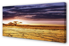 Obrazy na plátně Mraky strom nebe 125x50 cm