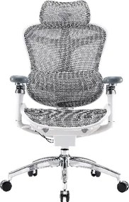 Sihoo DORO-C300-PRO bílá / Kancelářská židle / síťovina