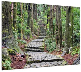 Obraz kamenných schodů v lese (70x50 cm)