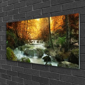 Obraz na skle Vodopád Příroda Les Podzim 120x60 cm