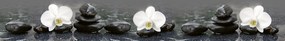 DIMEX | Fototapeta do kuchyně Zen orchidej KI-420-200 | 420 x 60 cm | šedá, černá, bílá