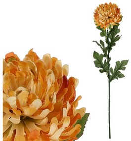 Chryzantéma velkokvětá, jednohlavá. KU4346 oranžová žíhaná