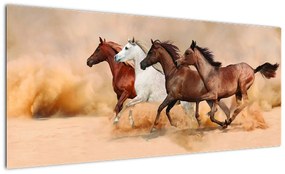 Obraz kůň (100x40cm)