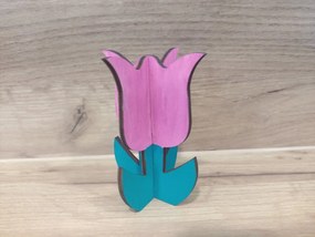 Tulipán malý Růžová