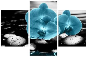 Obraz modrých květů orchideje (90x60 cm)