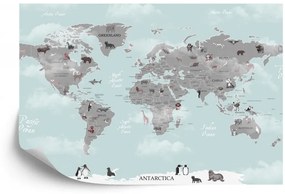 Fototapeta Animals World Map For Kids Wallpaper Design Hladký vinyl 104x70.5