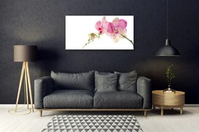 Obraz na skle Květiny Rostlina 120x60 cm