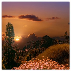 Obraz přírody se západem slunce (30x30 cm)