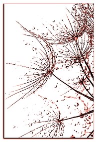 Obraz na plátně - Pampelišková semínka s kapkami vody - obdélník 7202KA (60x40 cm)