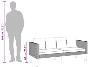 vidaXL Marketos 2místná zahradní pohovka s poduškami polyratan černá