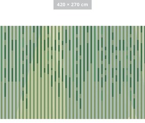 obrazová tapeta bambo Velikost: 420 × 270 cm