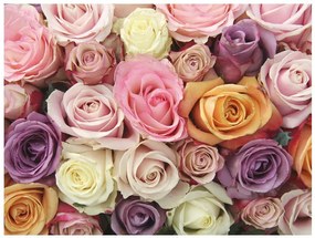 Fototapeta - Pastel roses