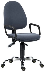 Pracovní židle Panther Antistatic s područkami, šedá