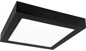 LED Stropní svítidlo FENIX LED/12W/230V 3800K 17 cm